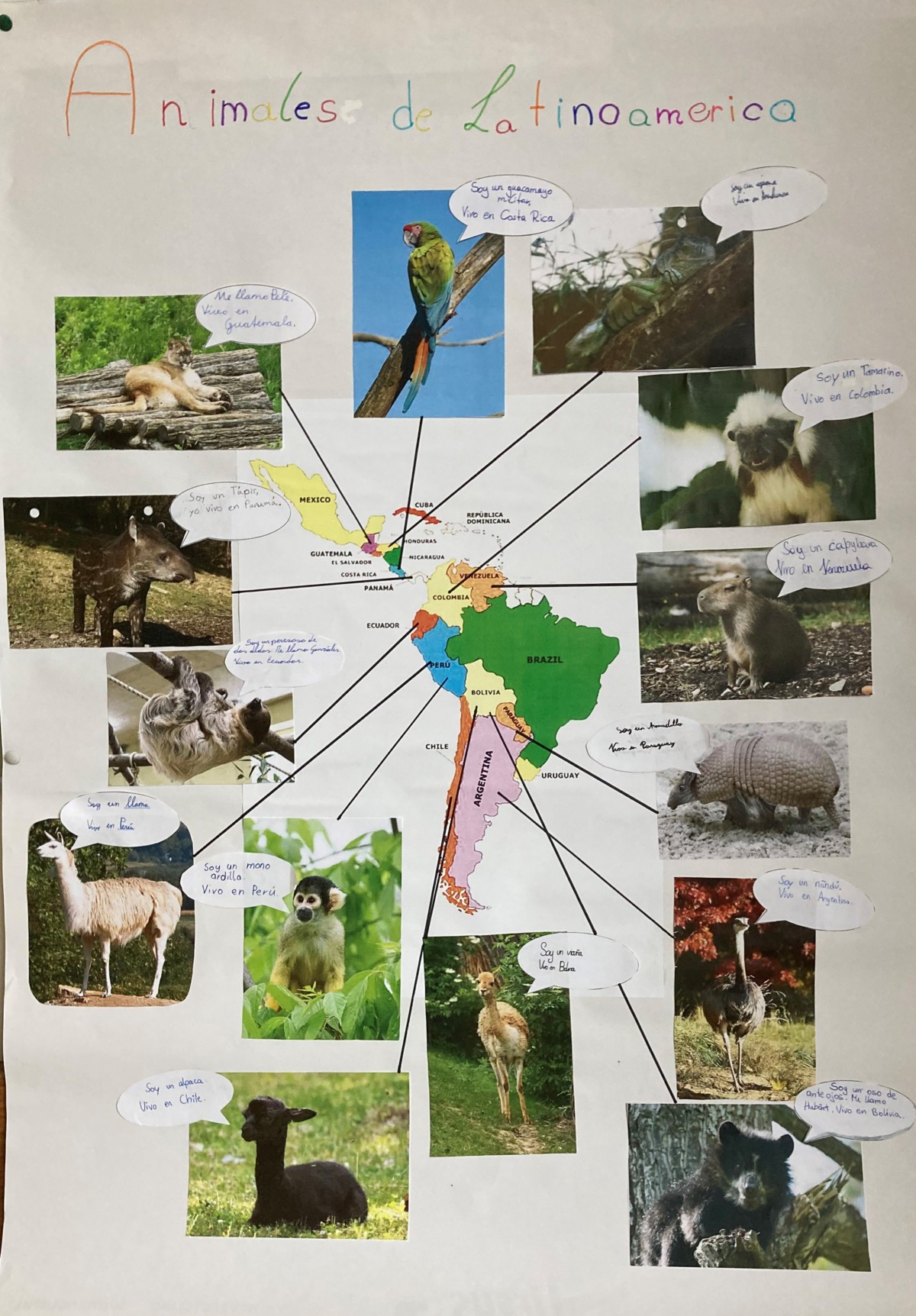 ANIMALES DE LATINOAMÉRICA – Gymnasium Hartberg